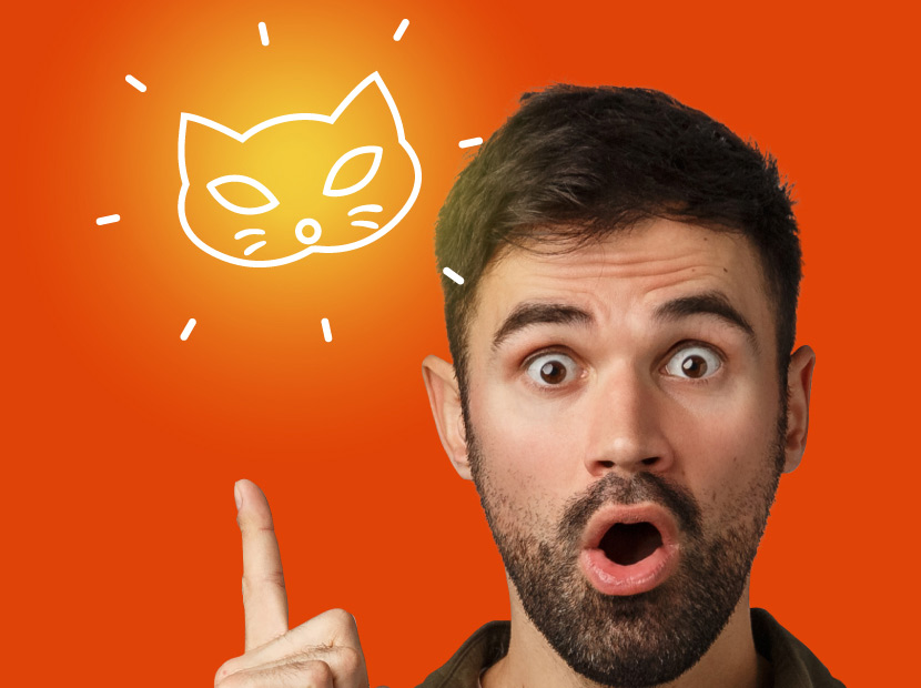 Felis Ödülleri'ne başvurular devam ediyor - MediaCat